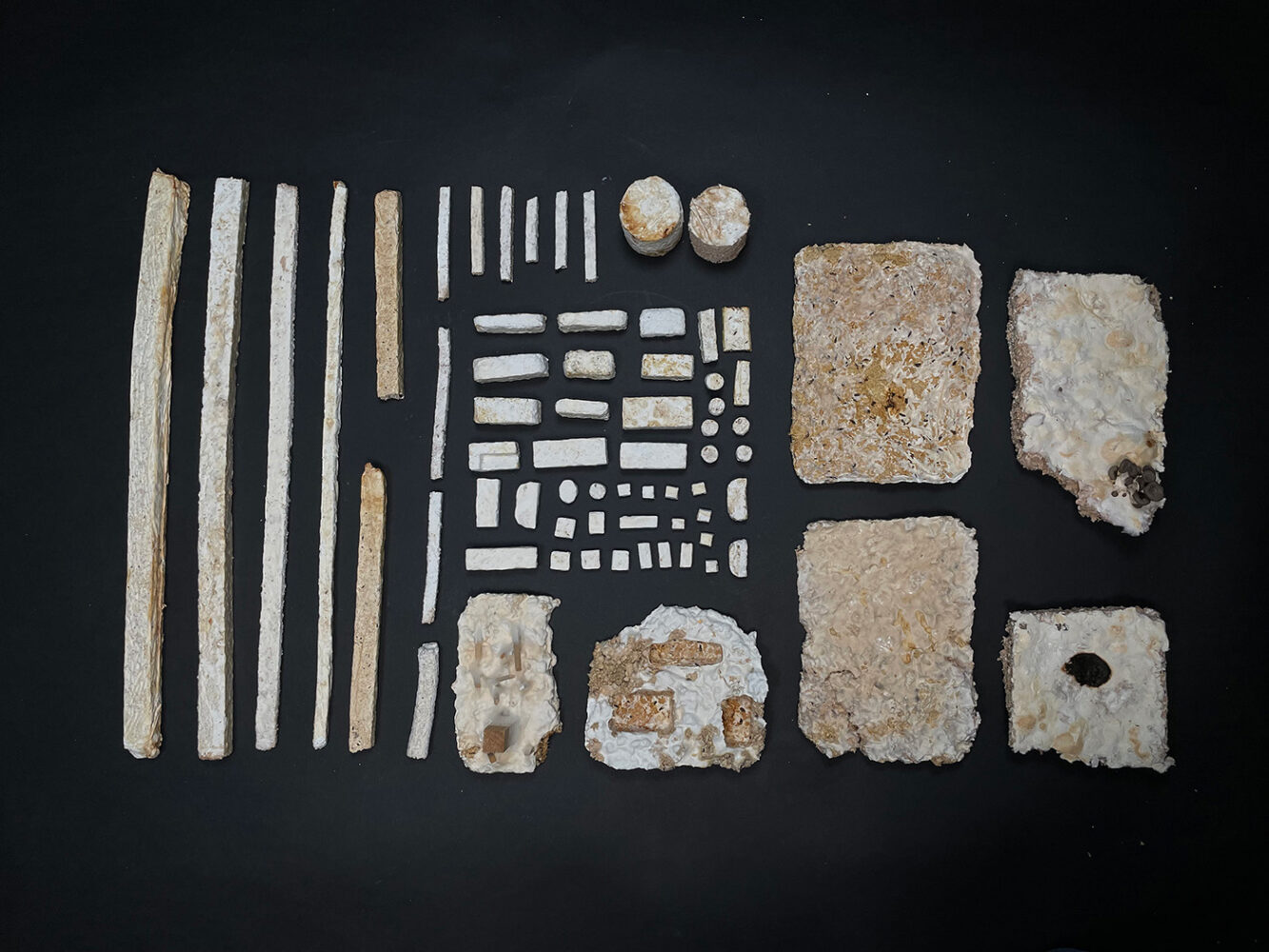 Mycelium Model Making – studio sustainable matter